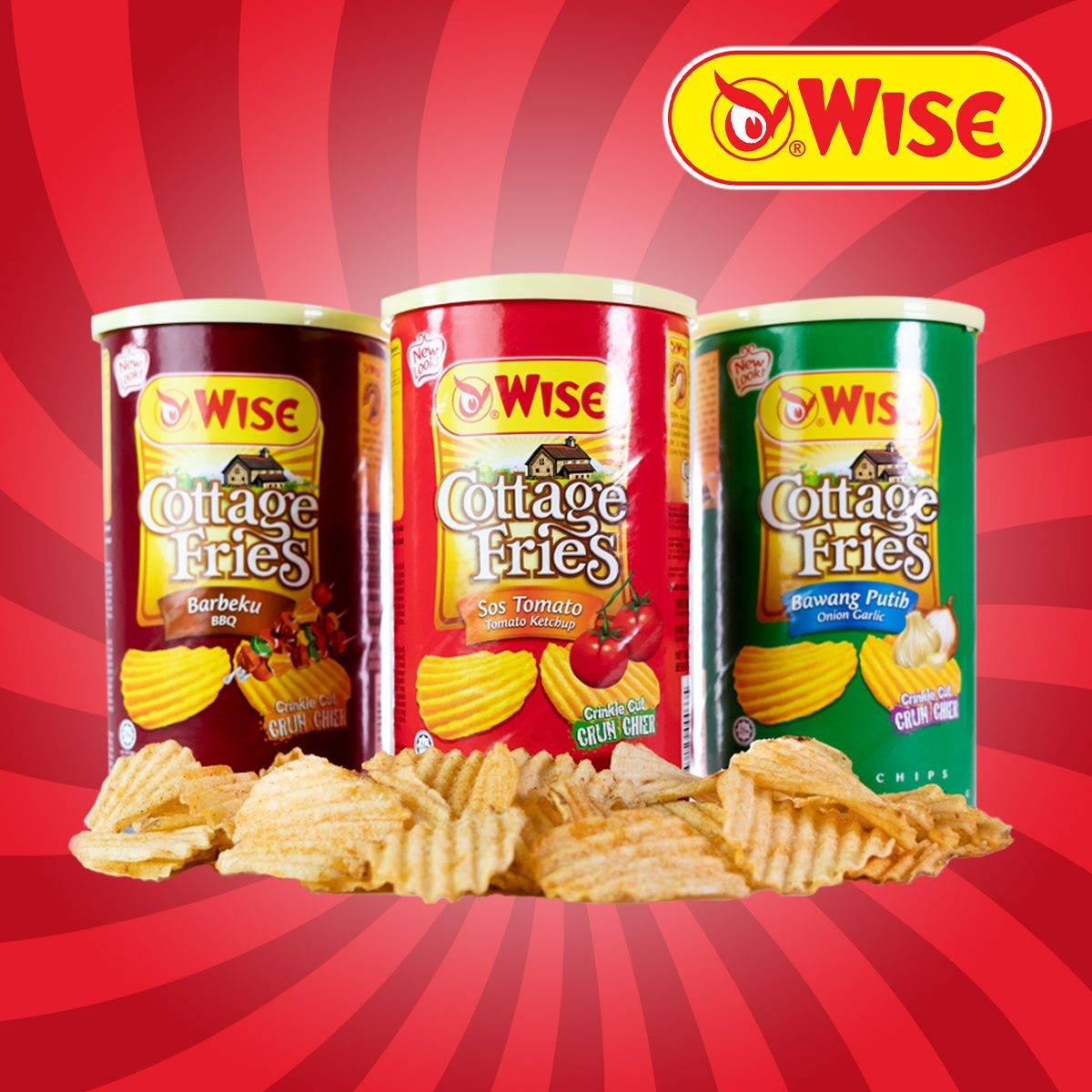 Wise Cottage Fries Onion Can - Garlic 90g [0038]